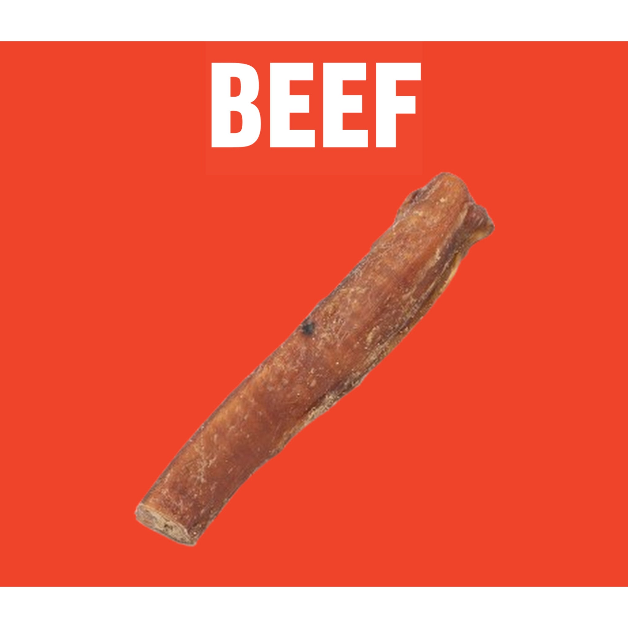 Natural Dog Treats Beef Bull Pizzle 12cm – My Pet Warehouse UK